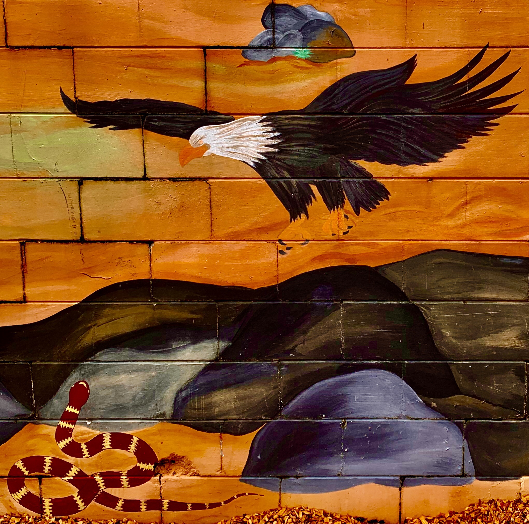 GNV Mural Route map – FreeGNV